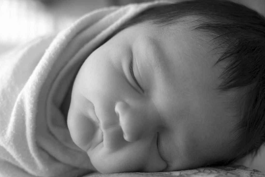 The IMG Family Is Growing | IMG blog
